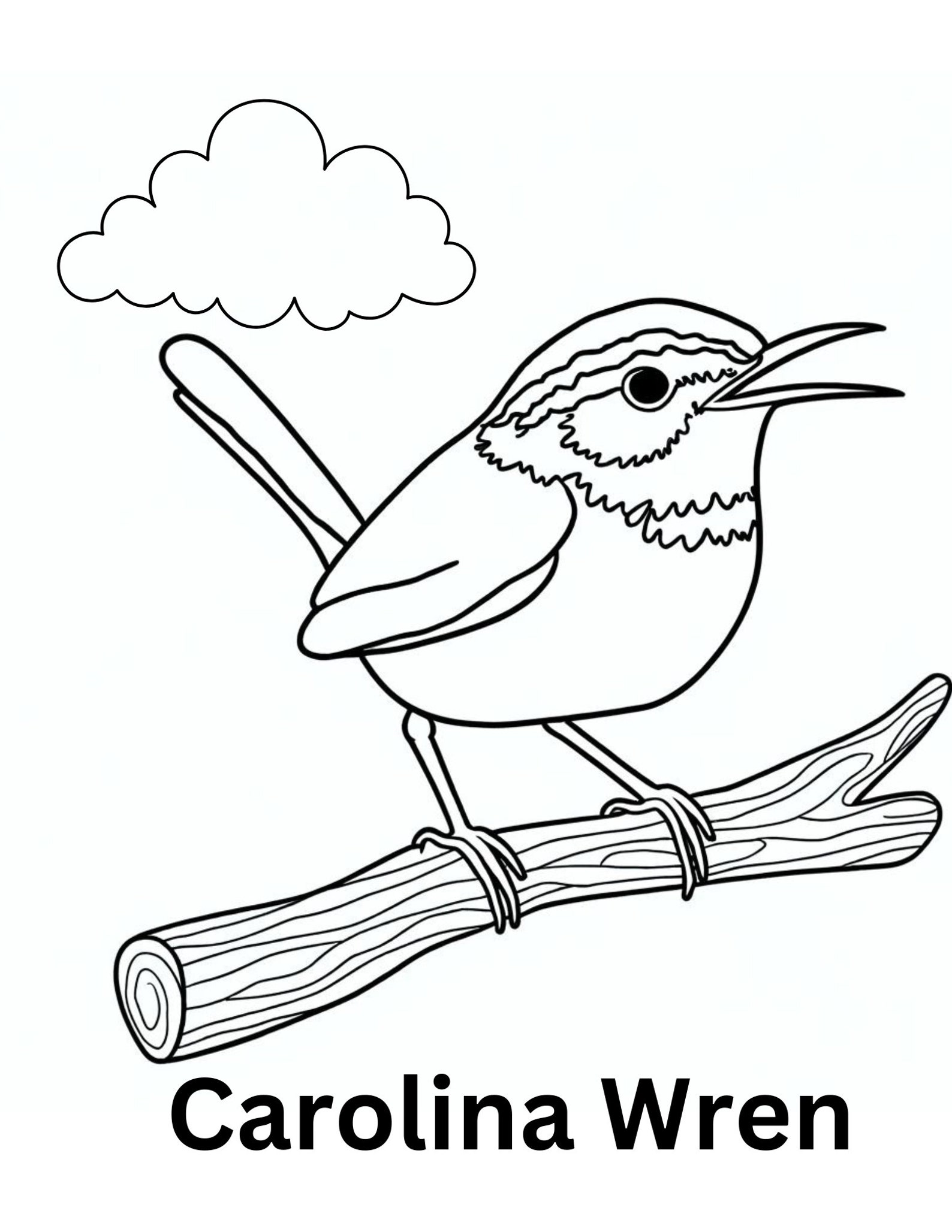 10 Bird Coloring Pages - Etsy