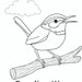 10 Bird Coloring Pages - Etsy
