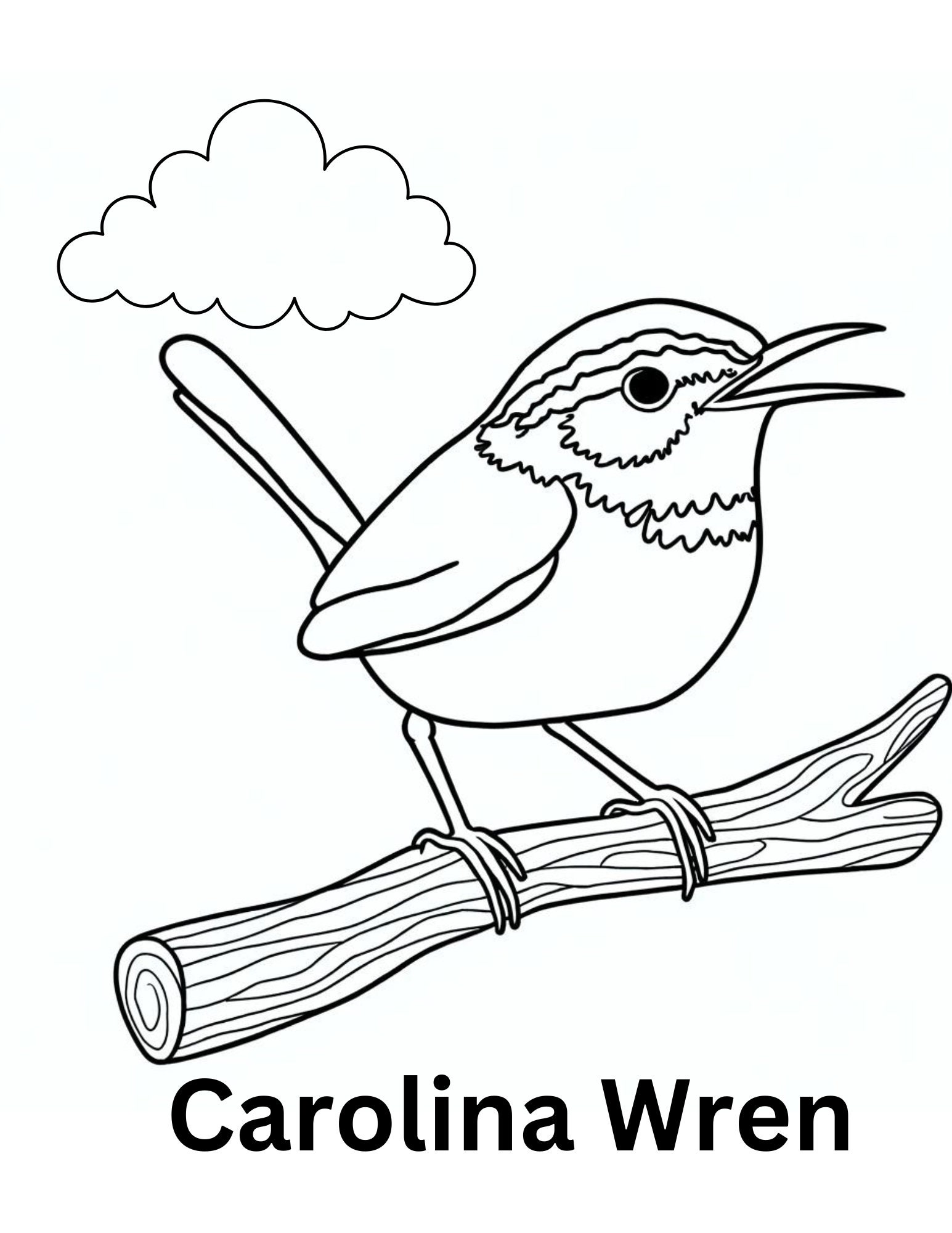 10 Bird Coloring Pages - Etsy