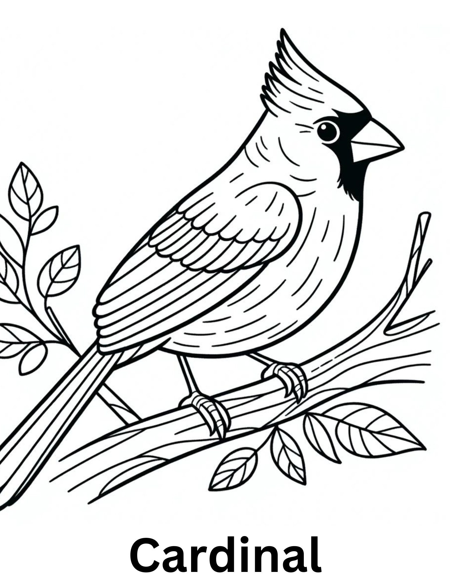 10 Bird Coloring Pages - Etsy