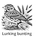 10 Bird Coloring Pages - Etsy