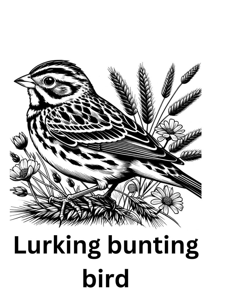 10 Bird Coloring Pages - Etsy