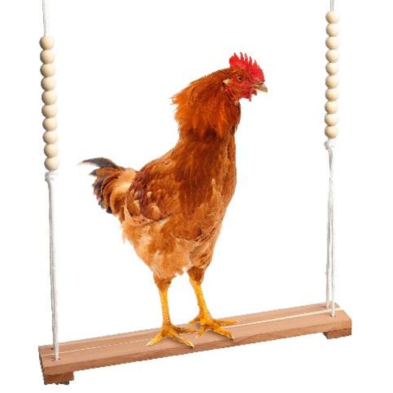 Chicken Swing - Etsy