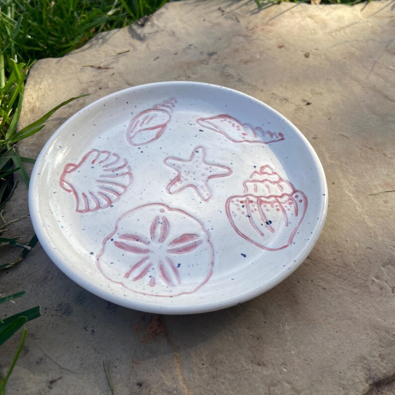 Carved Pink Seashell Plate - Sand Dollar - Etsy