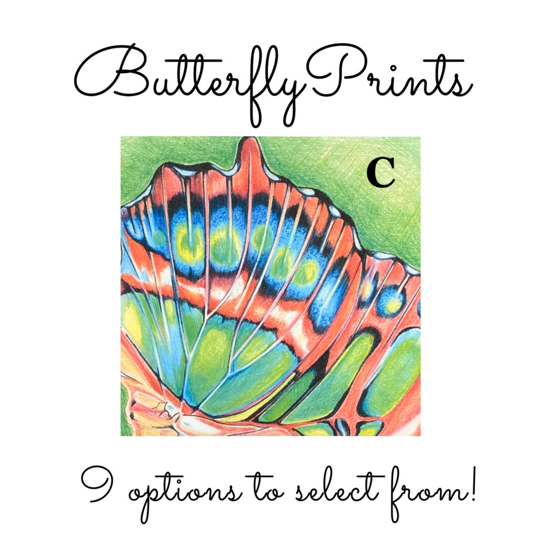 Individual Butterfly Print - Etsy