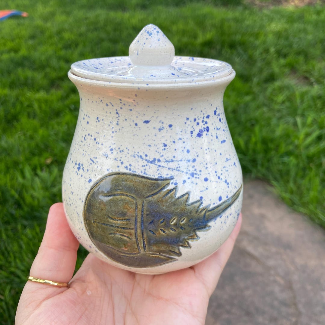 Horseshoe Crab Jar - Etsy