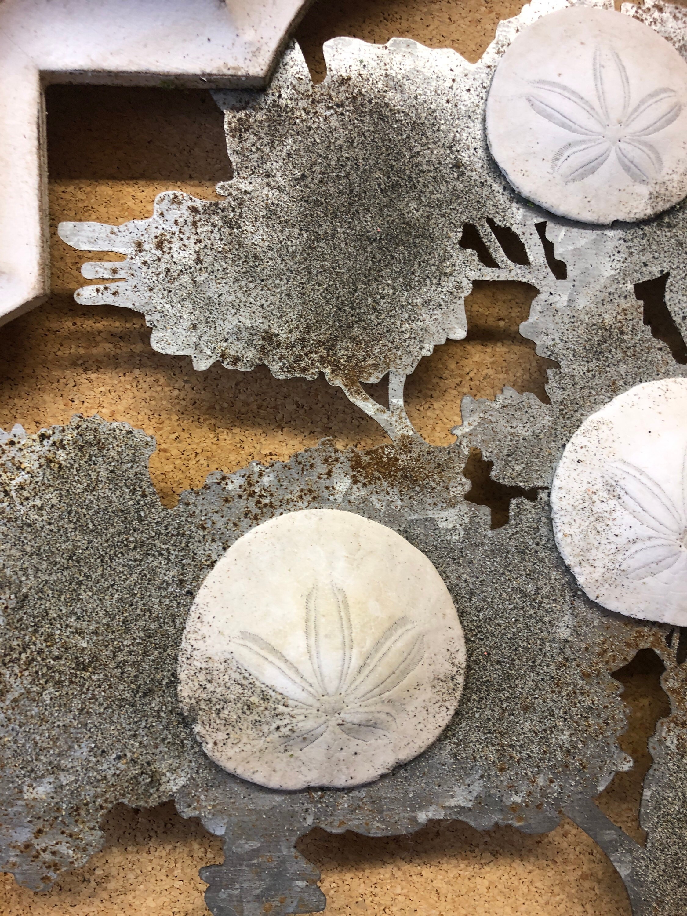 Sand Dollar Tree of Life - Etsy