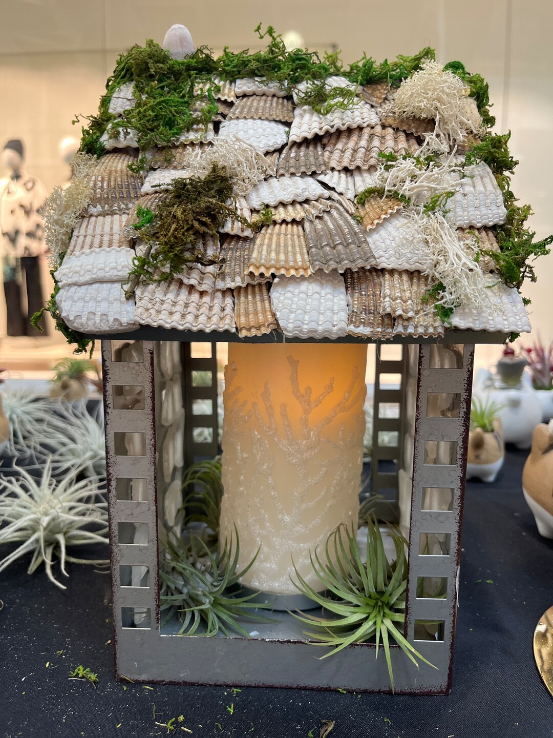 Seaside Lit up House With Sea Shells and Sea Glass - Etsy