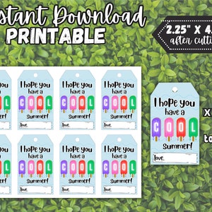 Popsicle Class Gift/printable Summer Gift Tag/instant Download/summer ...