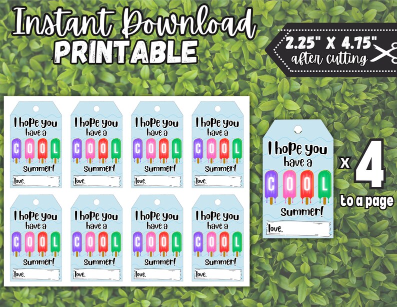 Popsicle Class Gift/printable Summer Gift Tag/instant Download/summer ...