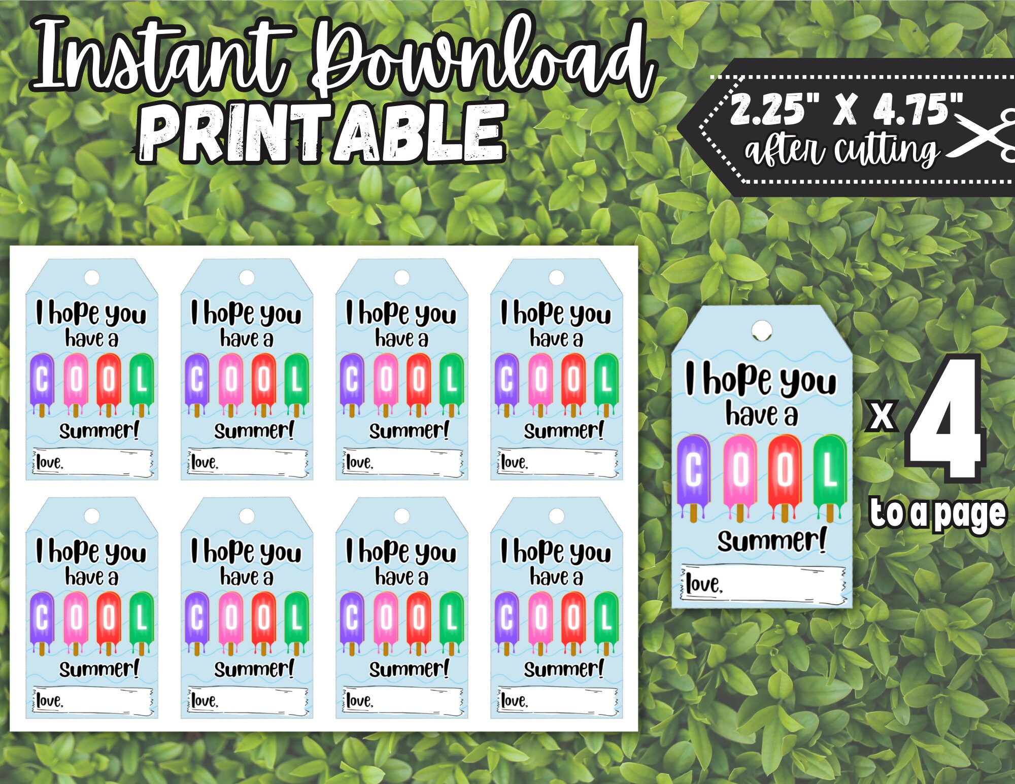 Popsicle Class Gift/printable Summer Gift Tag/instant Download/summer ...