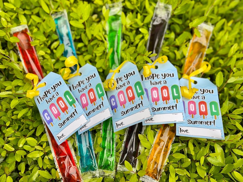 Popsicle Class Gift/printable Summer Gift Tag/instant Download/summer ...