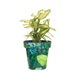 Lightweight Pot Planter Zest Pot in Tropical Design - Etsy