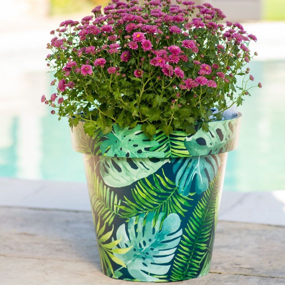 Lightweight Pot Planter Zest Pot in Tropical Design - Etsy