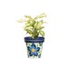 Lightweight Pot Planter Zest Pot in Verde Design - Etsy