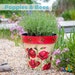 ZEST POTS Lightweight Pot Planter Modern Indoor/outdoor - Etsy
