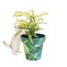 Lightweight Pot Planter Zest Pot in Tropical Design - Etsy