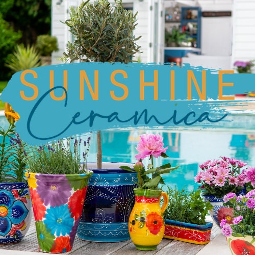 SunshineCeramicaShop - Etsy