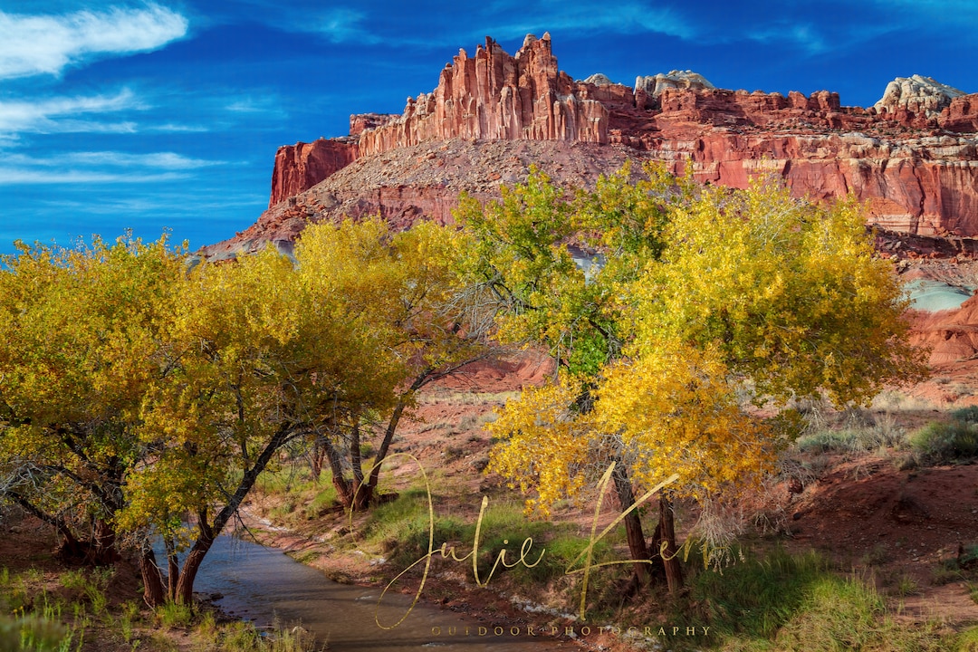 Utah's Capitol Reef National Park Shows Spectacular Fall Color. the ...