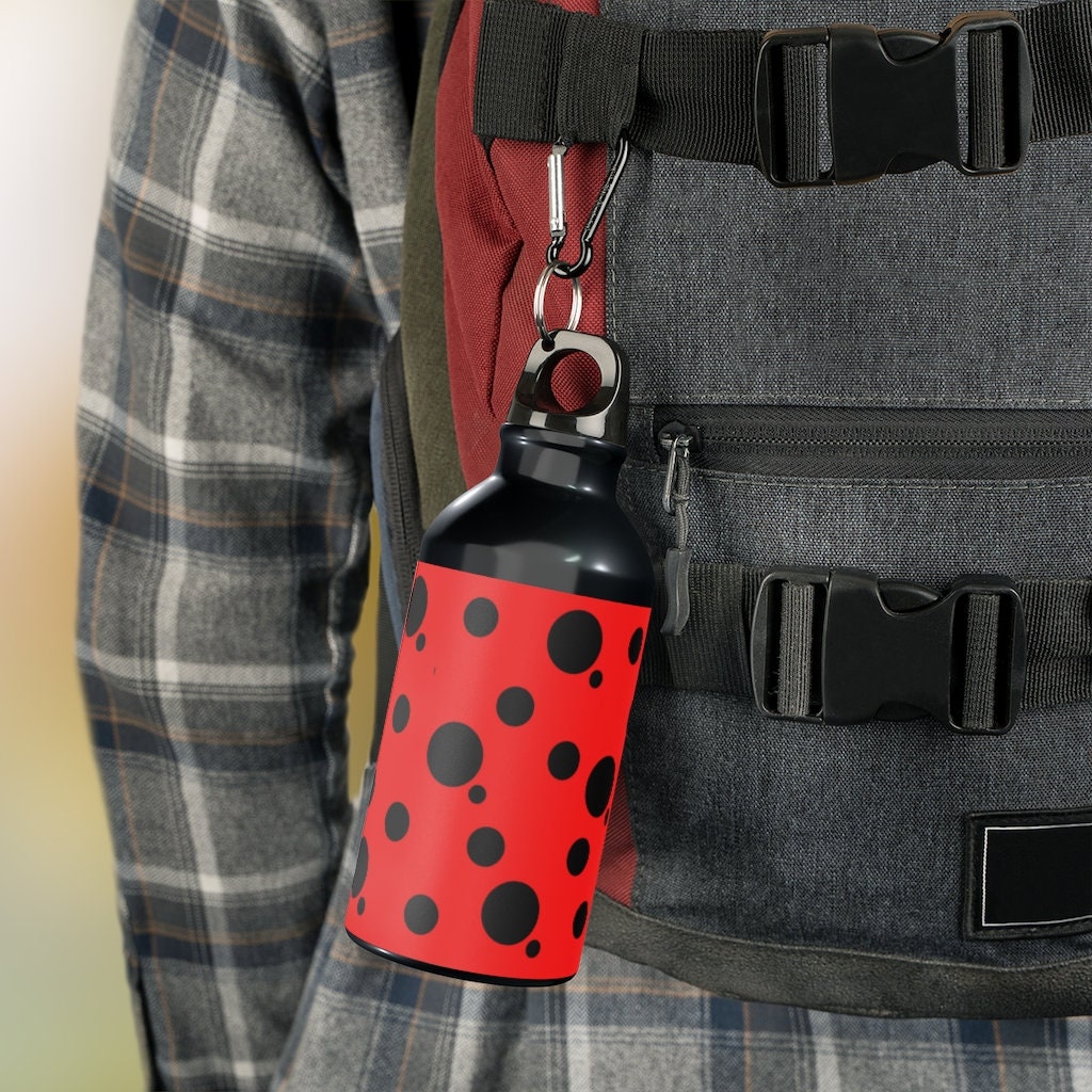 Ladybug Water Bottle - Etsy