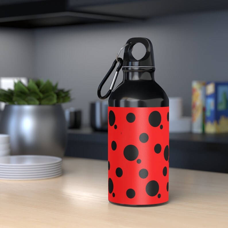 Ladybug Water Bottle - Etsy