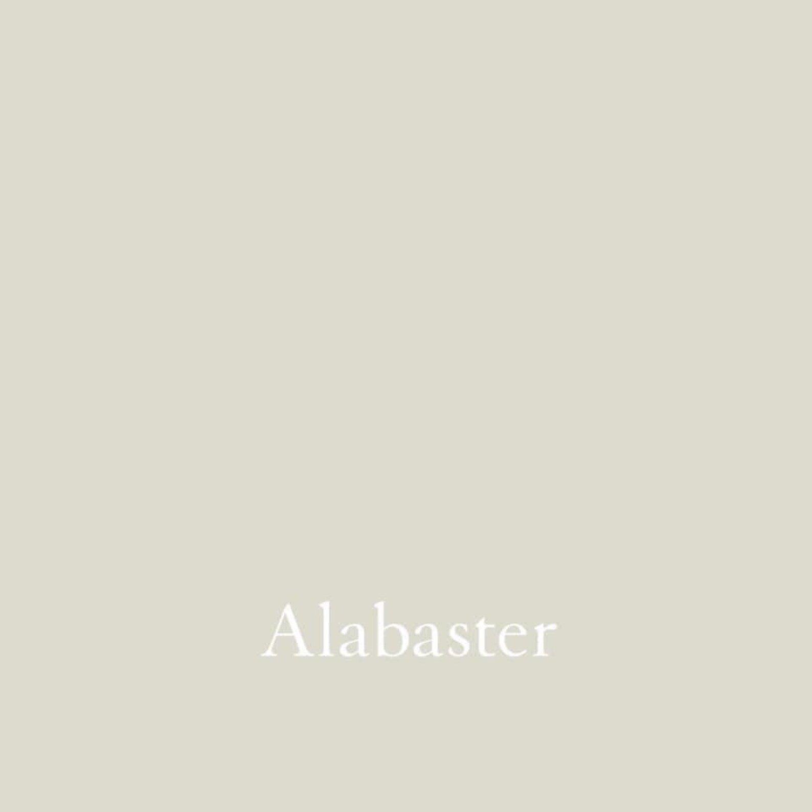 Alabaster - One Hour Ceramic Luxury Wall Paint by Wise Owl - Etsy
