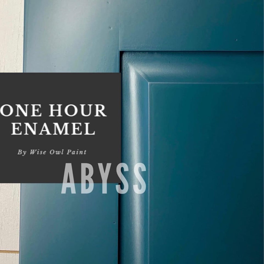 Abyss-one Hour Enamel Wise Owl Paint Perfect for Cabinets, Furniture ...