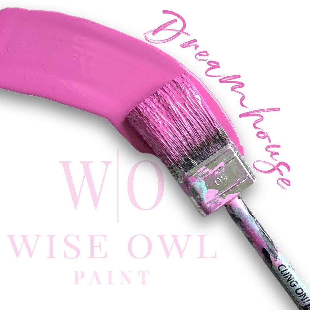 DREAMHOUSE - LIMITED EDITION Wise Owl Chalk Synthesis Paint - Etsy