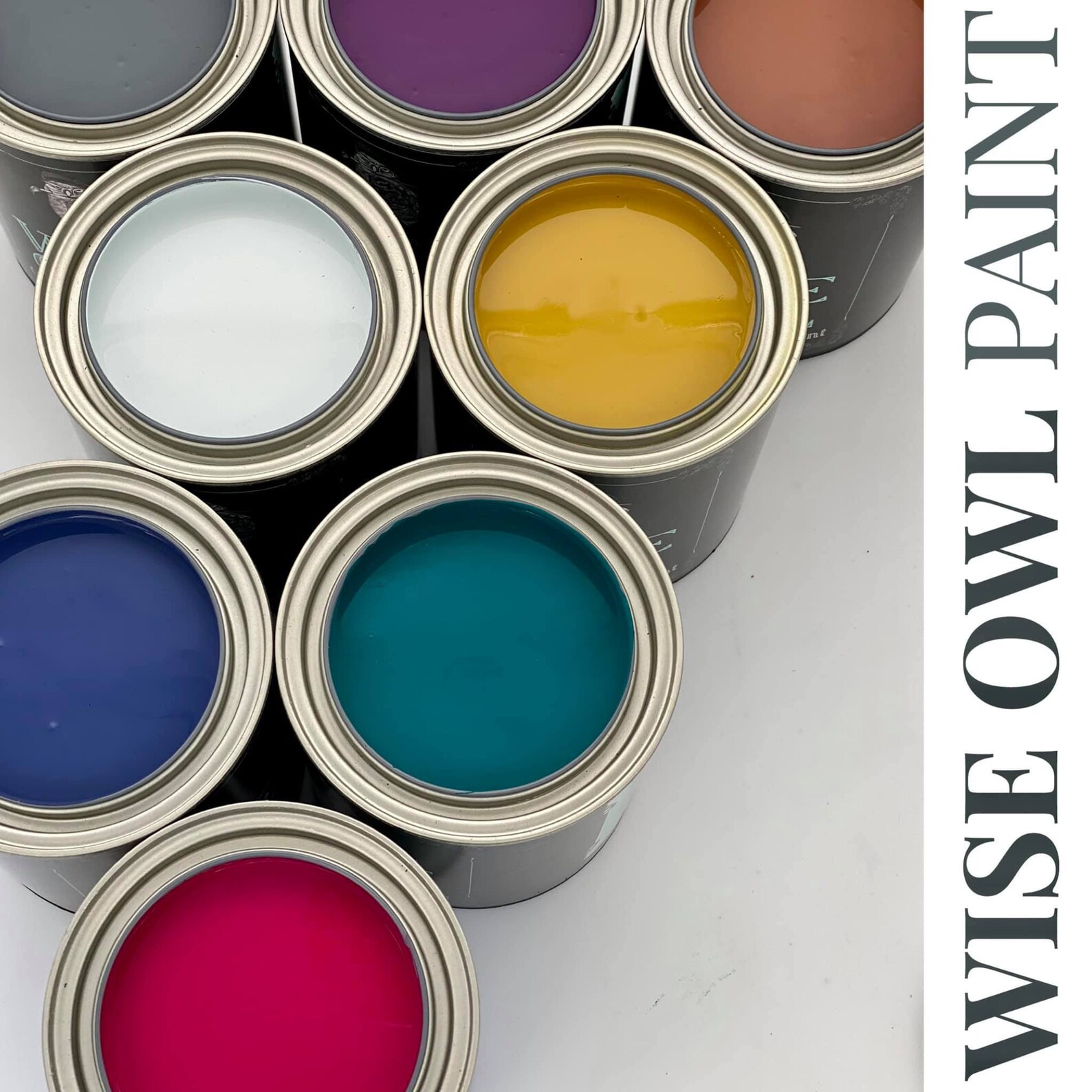 Siren Song Wise Owl Chalk Synthesis Paint | Etsy