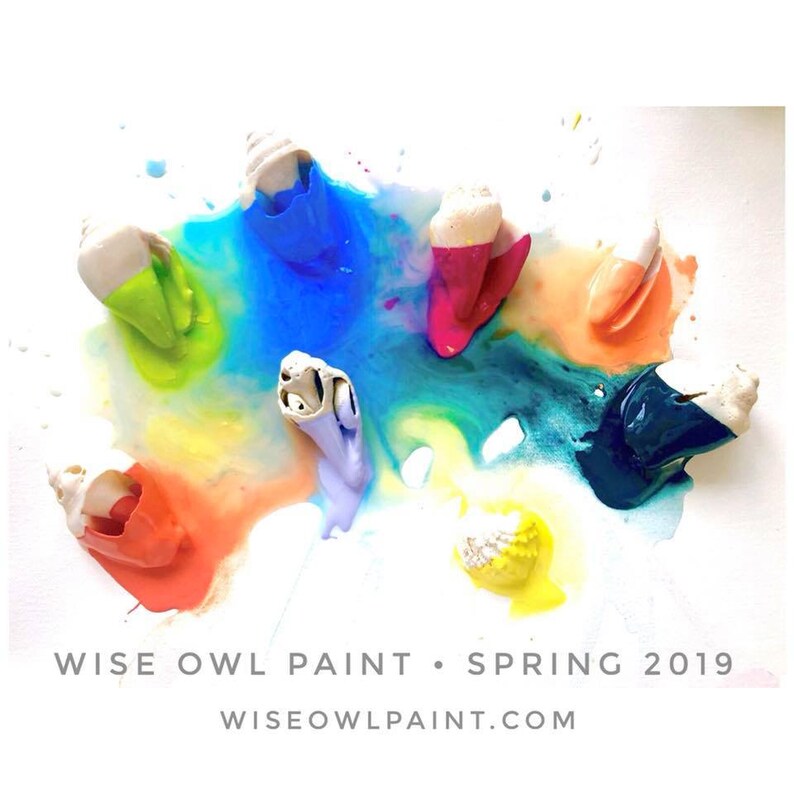 Mermaid Kiss Wise Owl Chalk Synthesis Paint | Etsy