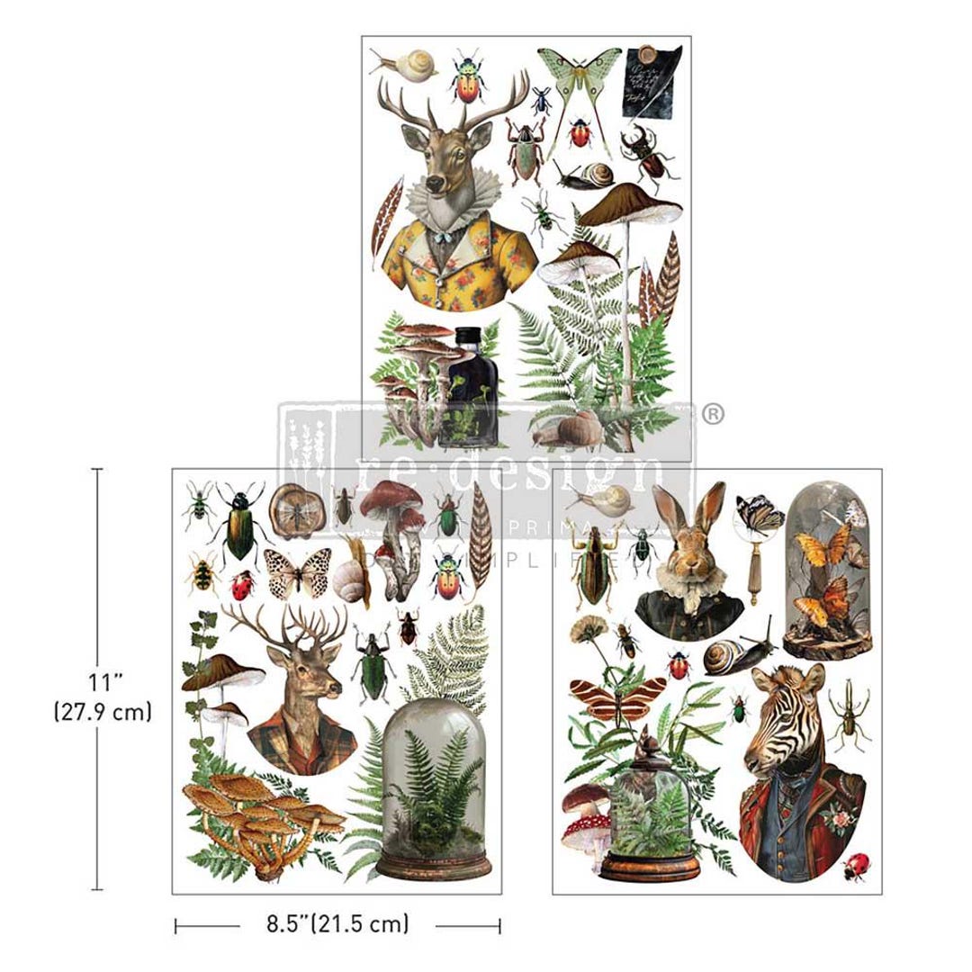 NEW- EPHEMERA ENCLAVE 8.5" X 11"" Rub on Transfers for Furniture ...