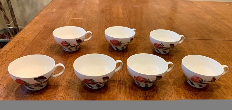 Vintage Blue Ridge Pottery Southern Camellia Cups Set of 9 - Etsy