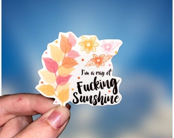 Profanity Stickers | Etsy