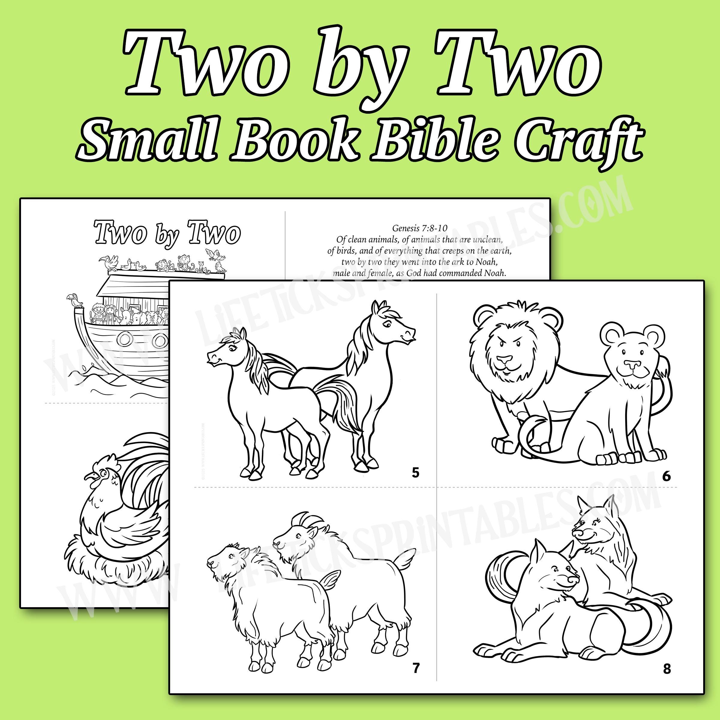 Noah's Ark Animals Small Coloring Book Craft: Bible Story Activity (PDF ...
