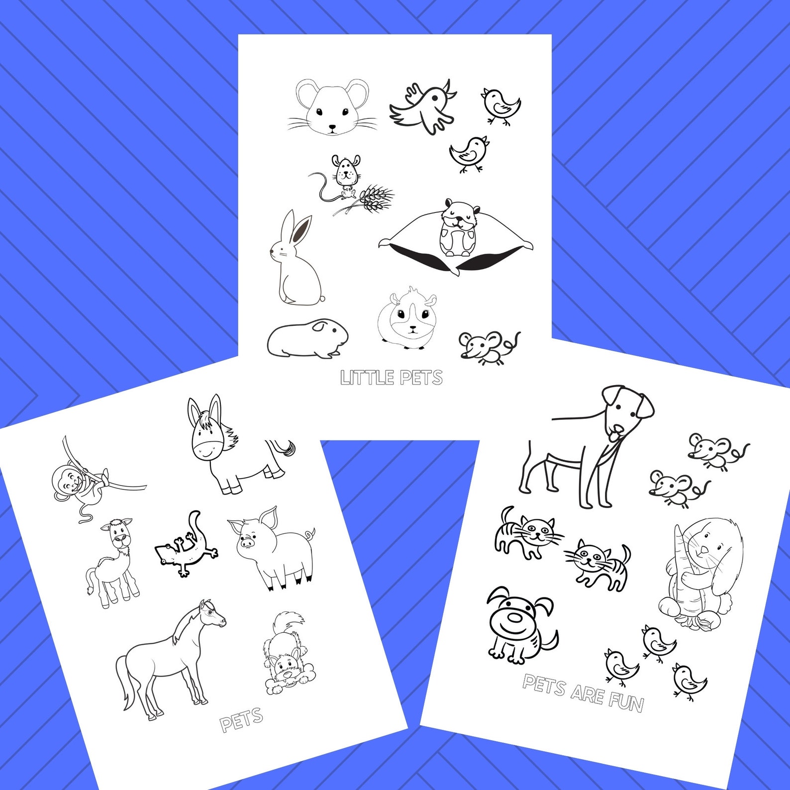 Pets Coloring Pages Coloring Pets Fun Coloring Activity Instant ...