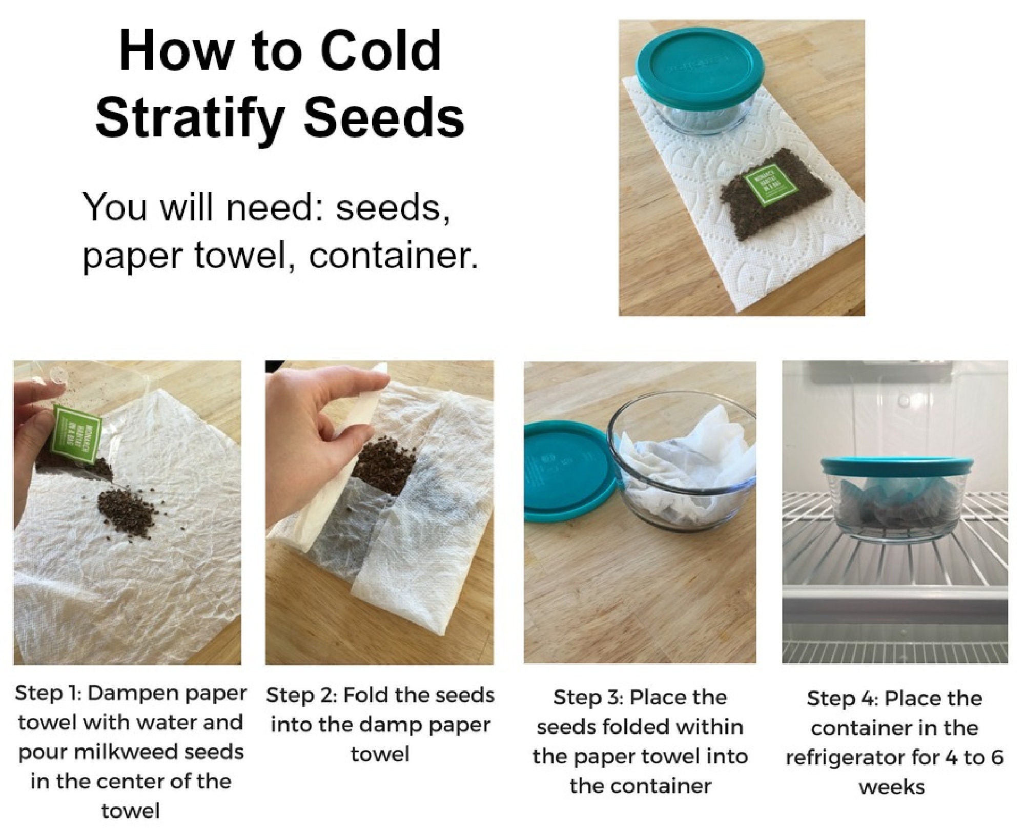 Common Ironweed vernonia Fasciculata Packet of 25 Seeds With | Etsy