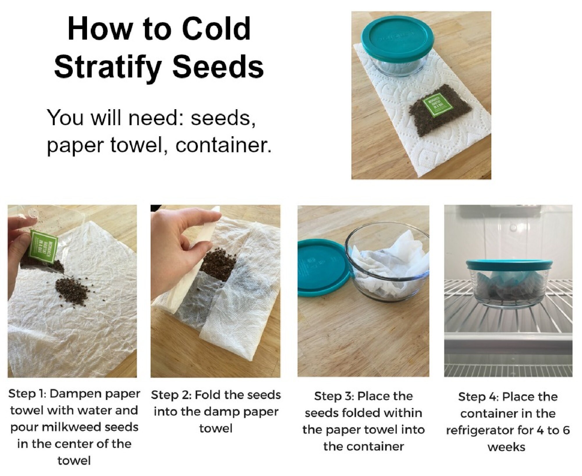 Prairie Blazing Star liatris Pycnostachya Packet of 25 Seeds - Etsy