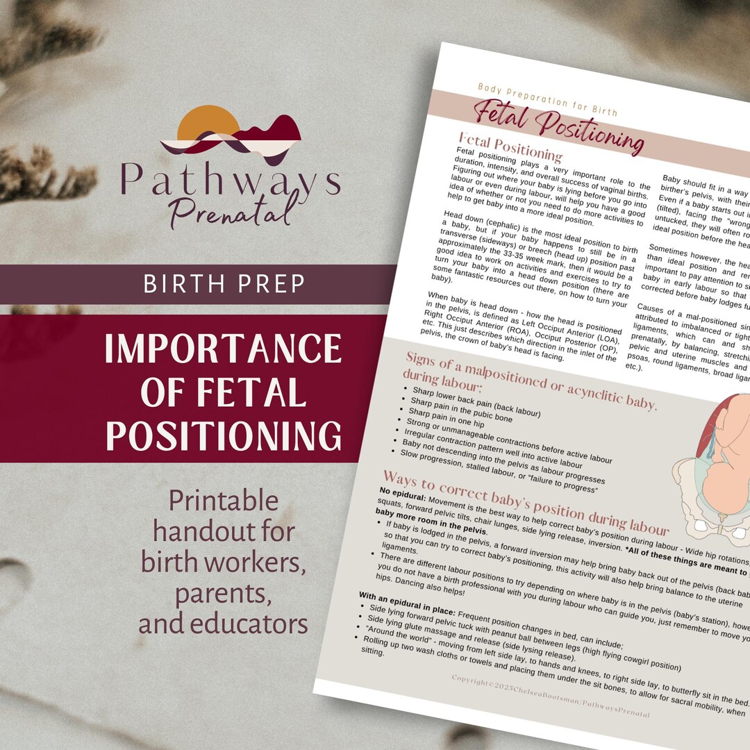 Fetal Positioning Birth Prep Handout, for Parents, Doulas, Childbirth ...