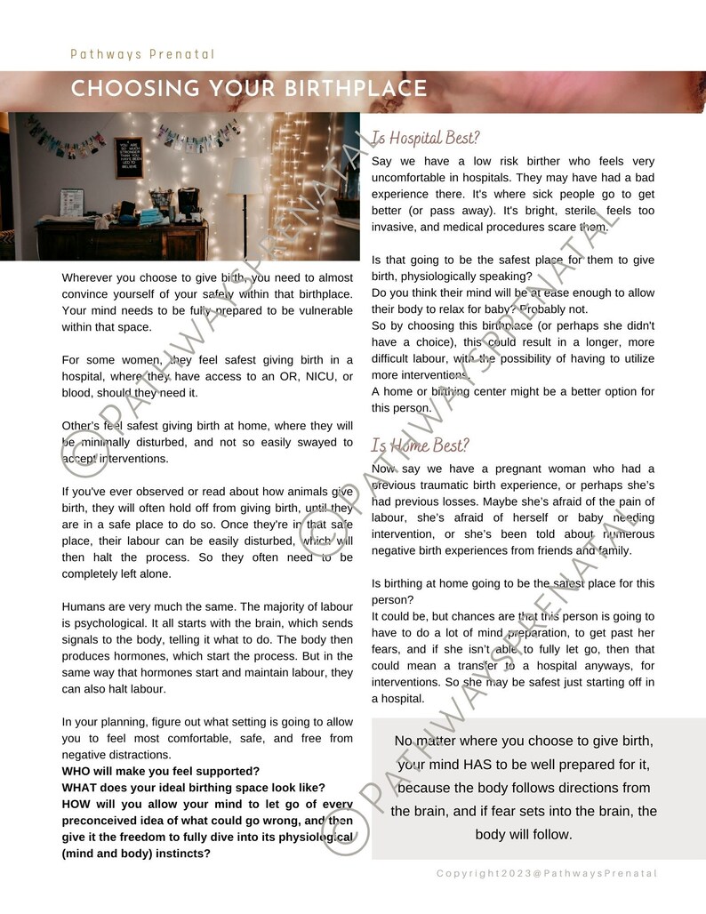 Choosing Your Birthplace Printable Handout for Pregnant Women, Birth ...