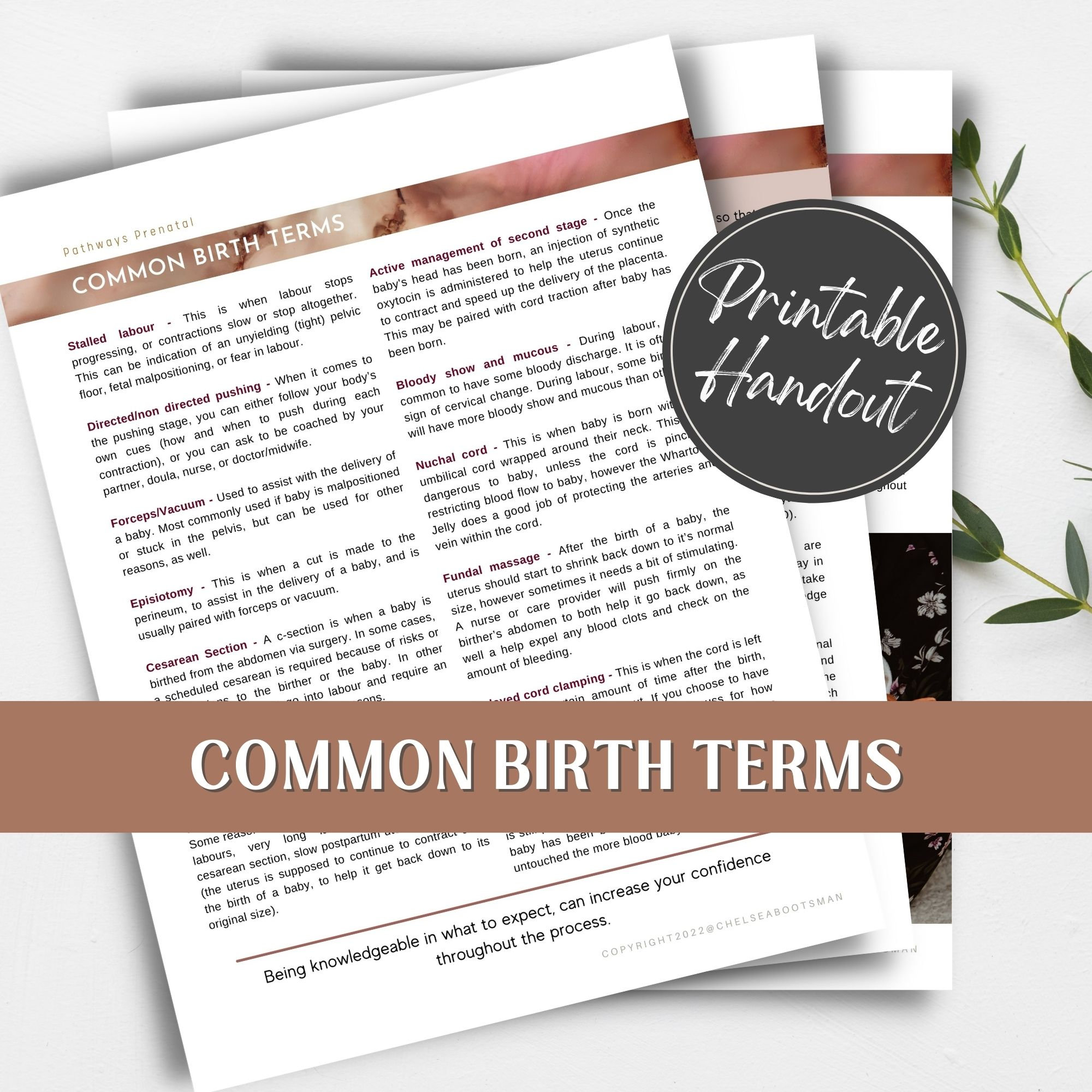 Common Birth Terms Birth Prep Printable Handout for Pregnant Women ...