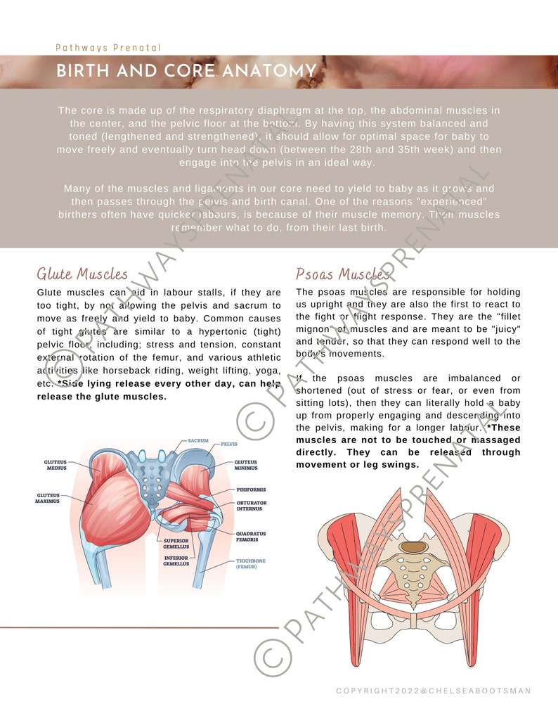 Birth and Core Anatomy Body Prep Printable Handout for Pregnant Women ...
