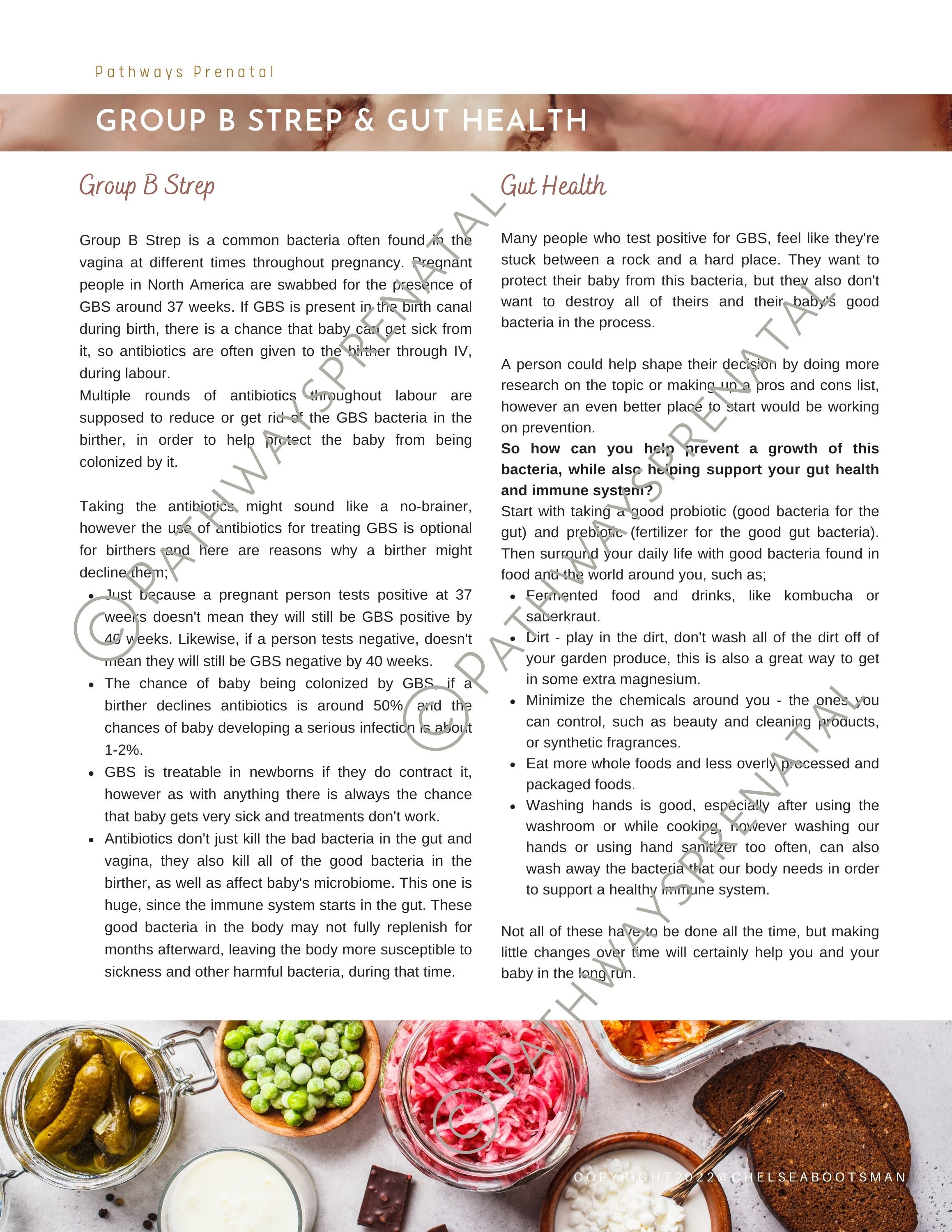 GBS and Gut Health Printable Handout for Pregnant Women, Birth Workers ...