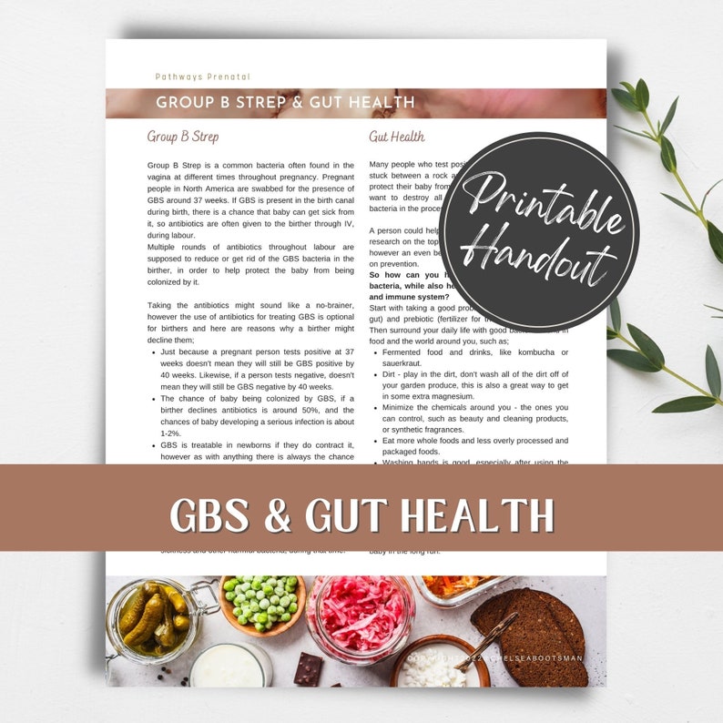 GBS and Gut Health Printable Handout for Pregnant Women, Birth Workers ...