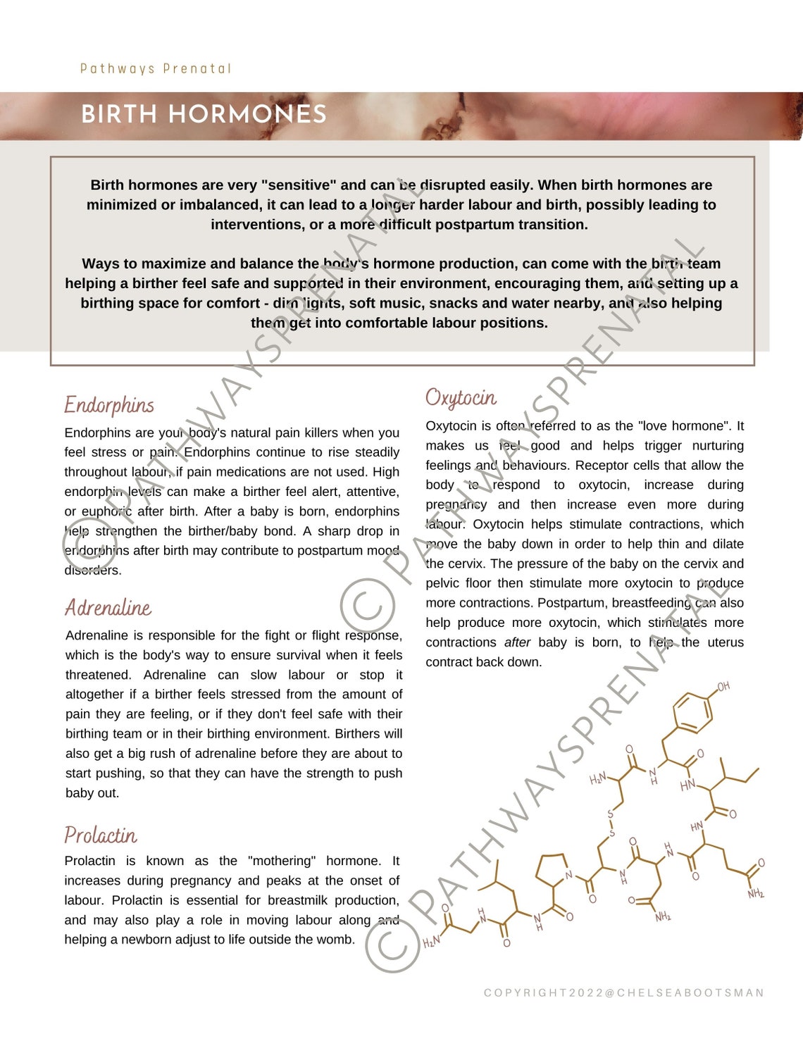 Birth Hormones Printable Handout for Pregnant Women, Birth Workers ...