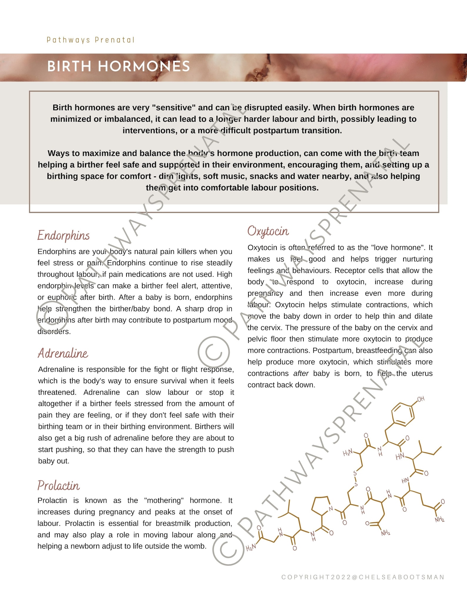 Birth Hormones Printable Handout for Pregnant Women, Birth Workers ...