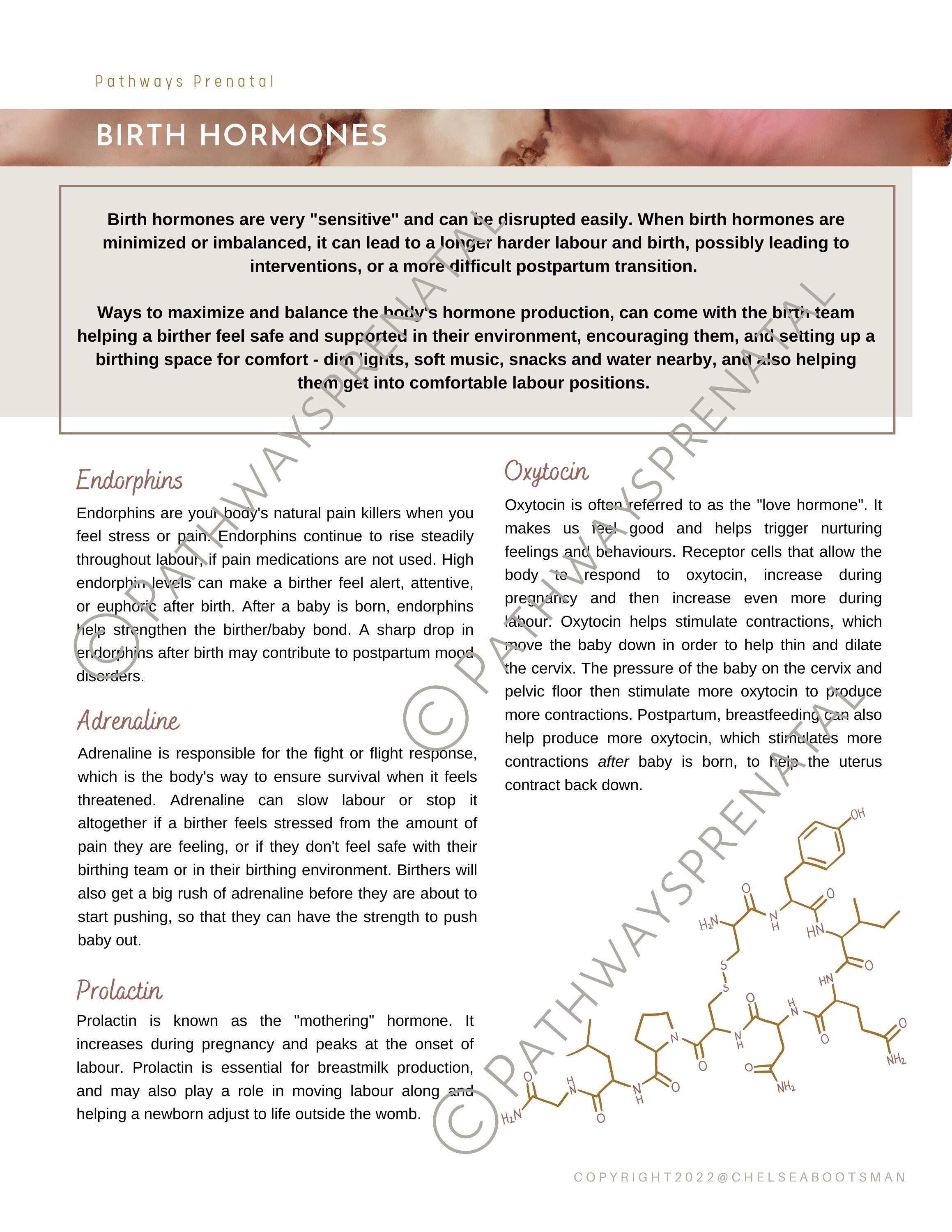 Birth Hormones Printable Handout for Pregnant Women, Birth Workers ...