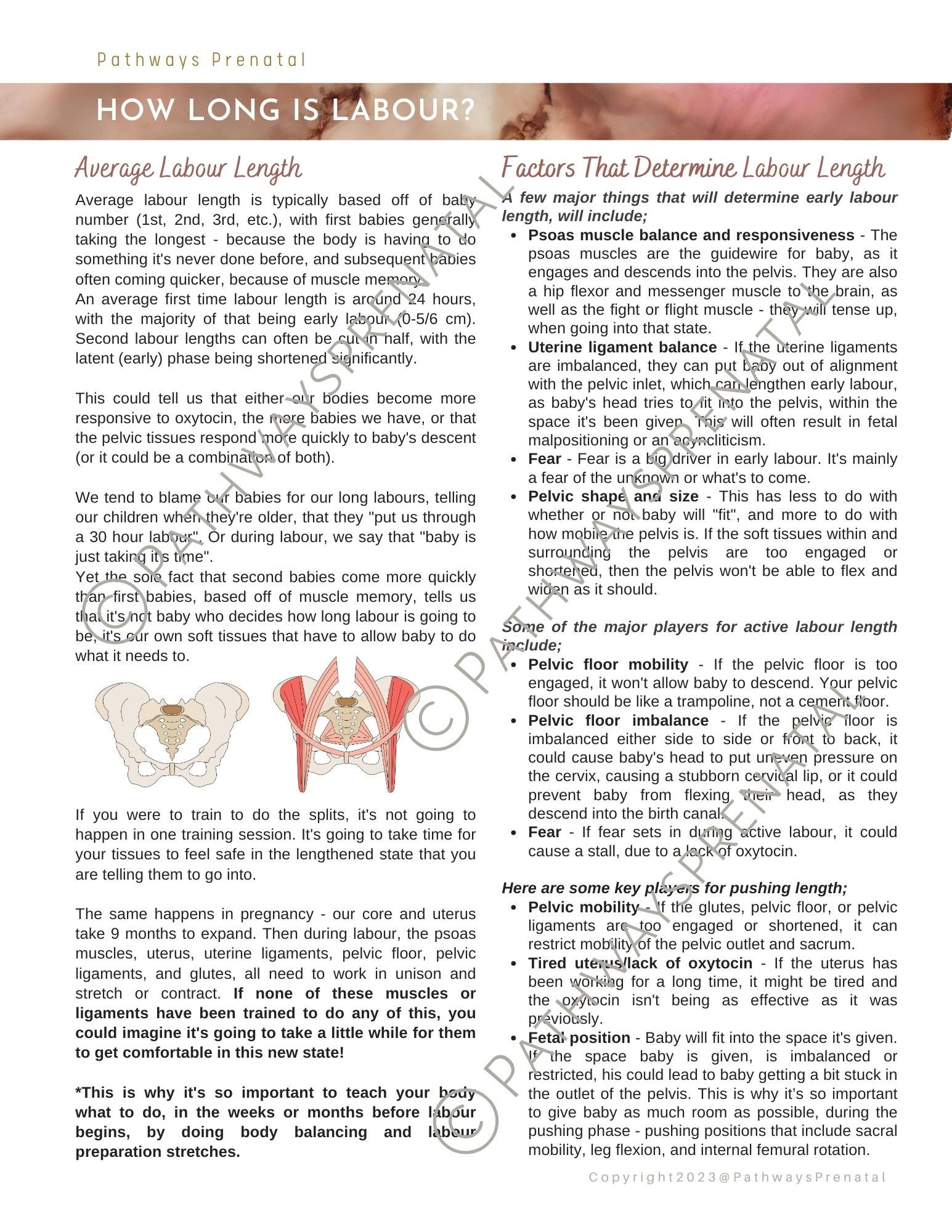 How Long is Labour Printable Handout for Pregnant Women, Birth Workers ...