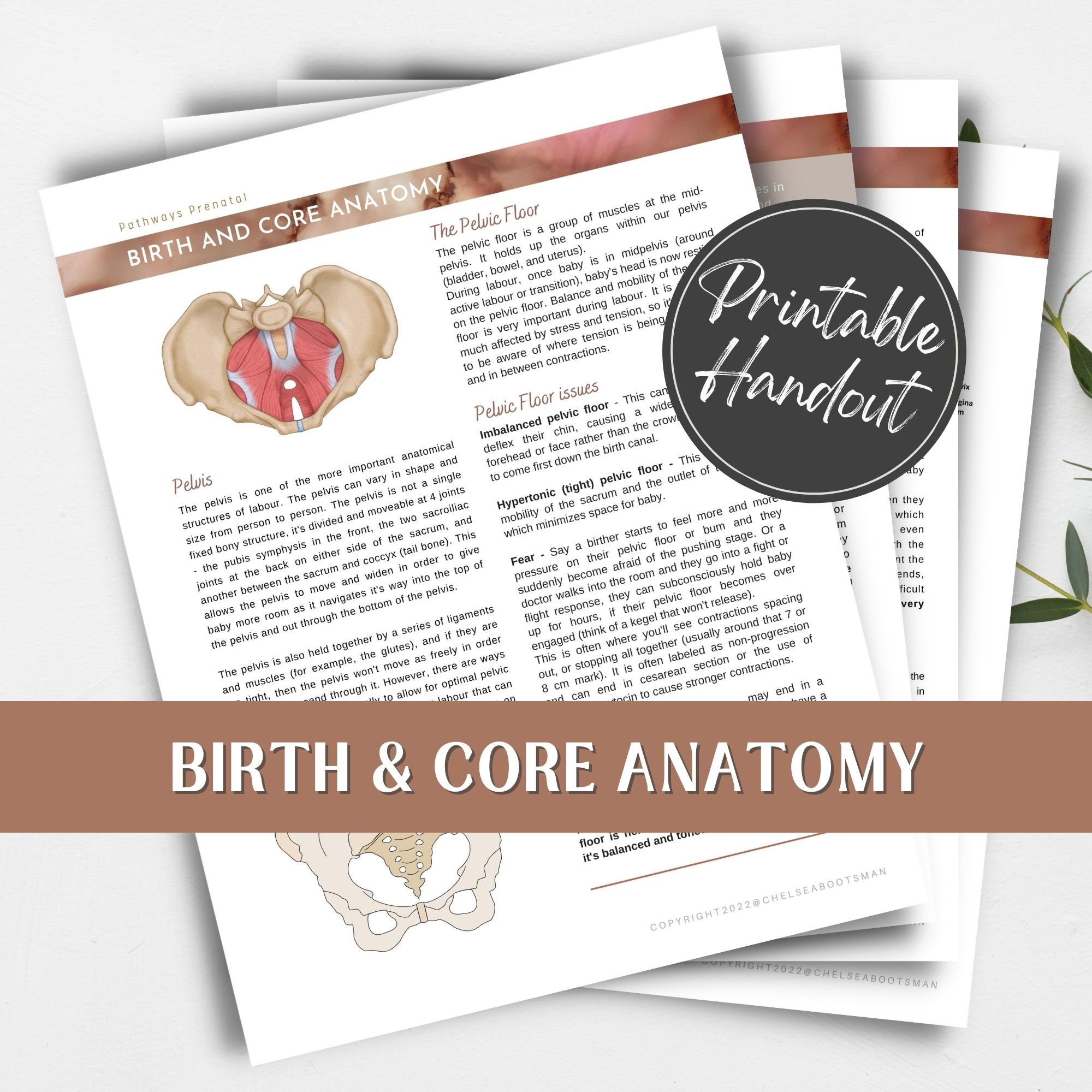 Birth and Core Anatomy Body Prep Printable Handout for Pregnant Women ...