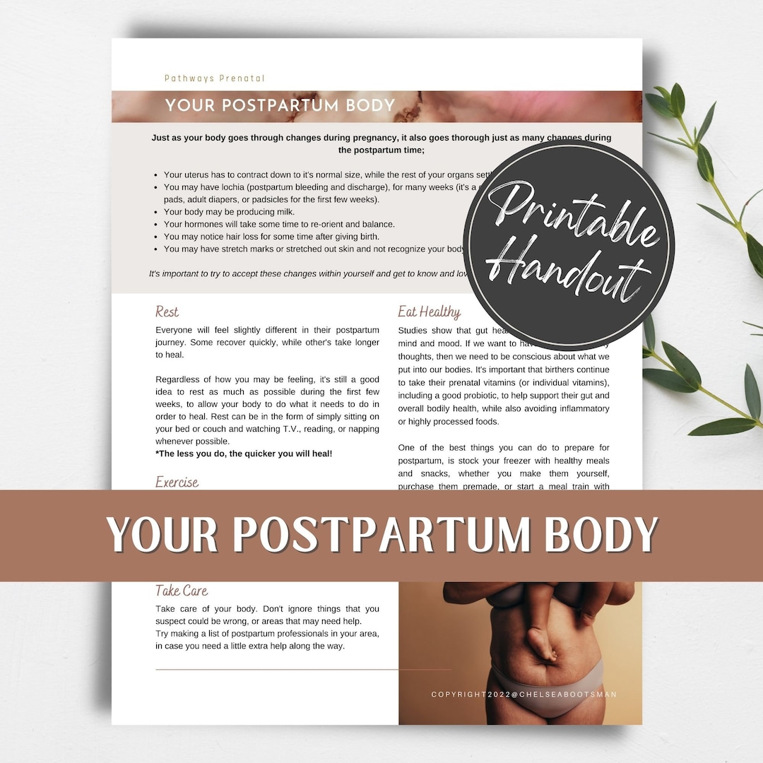 Your Postpartum Body Printable Handout for Pregnant Women, Birth ...
