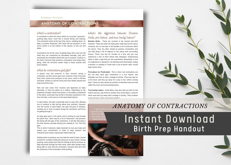 Anatomy of Contractions Birth Prep Handout for Parents - Etsy